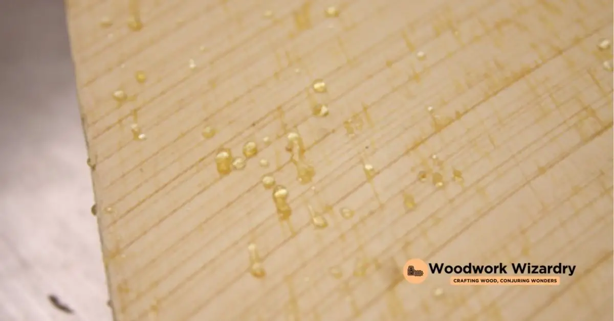 Prevent Sap Leakage: Effective Wood Maintenance Tips
