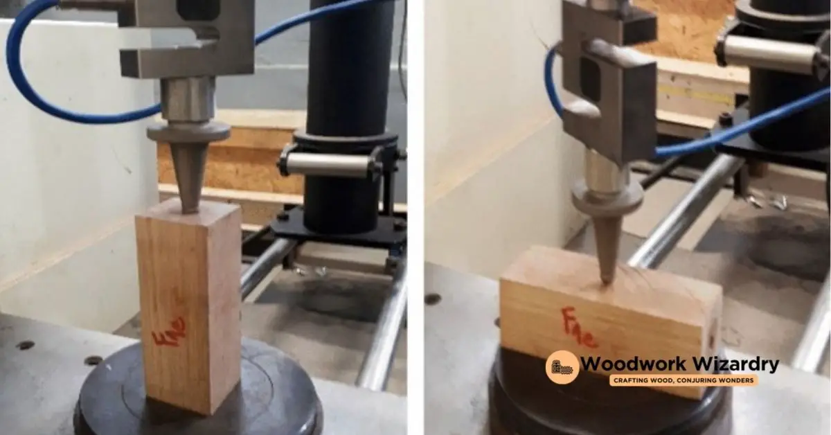 Janka Hardness Scale Explained: Complete Wood Ratings Guide for Durable ...