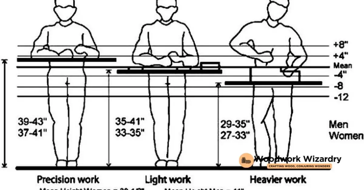 Best Workbench Height: Complete Woodworking Guide for Comfort & Precision